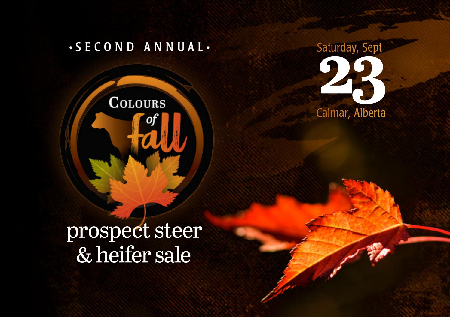 2017 Colours of Fall by Catalogs by Top Stock - Issuu
