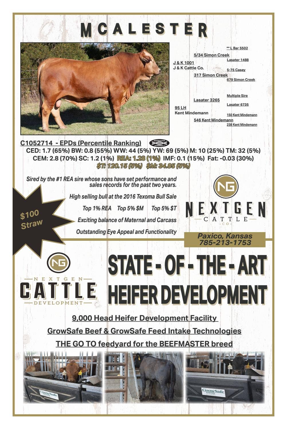 The Beefmaster Pay Weight - Fall 2017 by Beefmaster Breeders United - Issuu