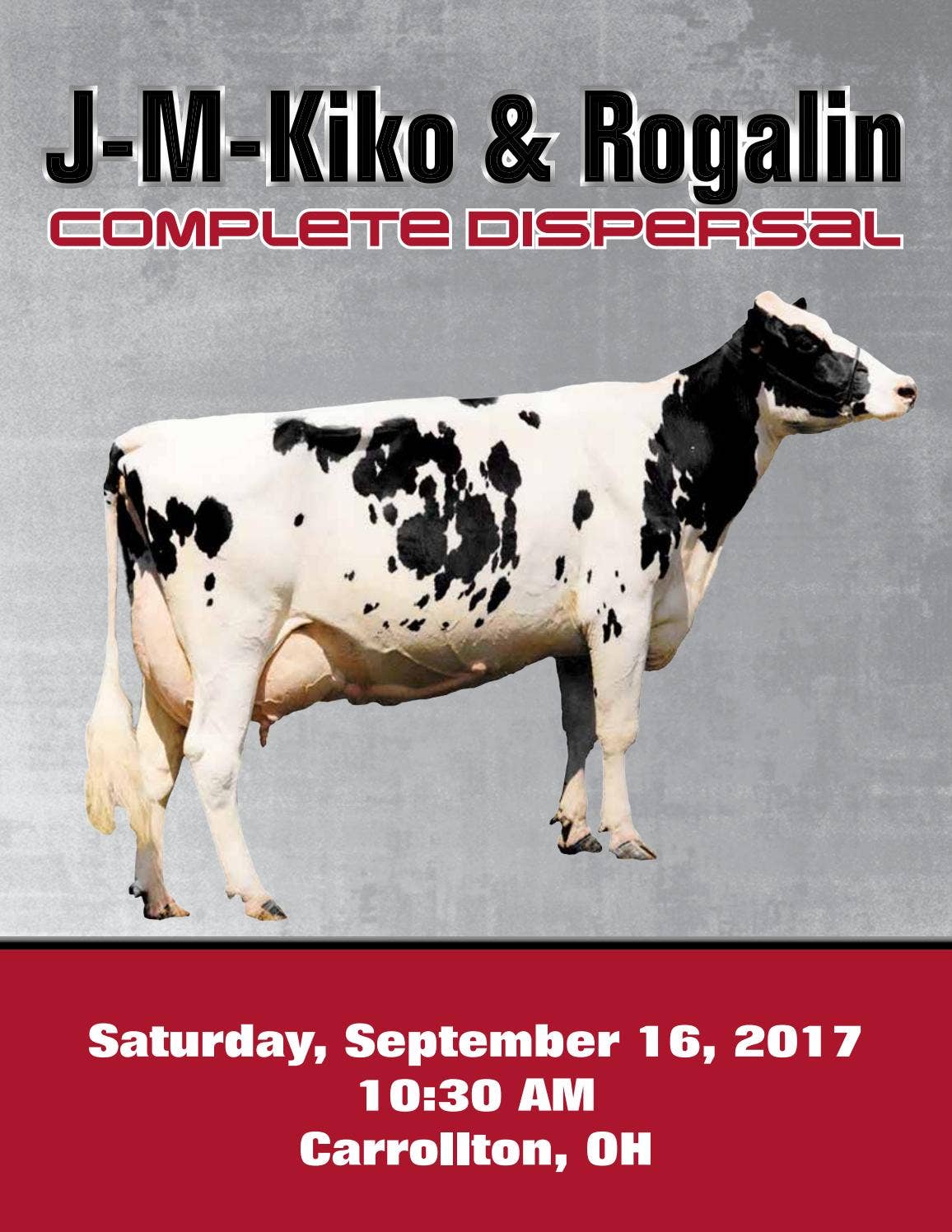 Joe kiko dispersal 9 16 17 by Daniel Brandt - Issuu