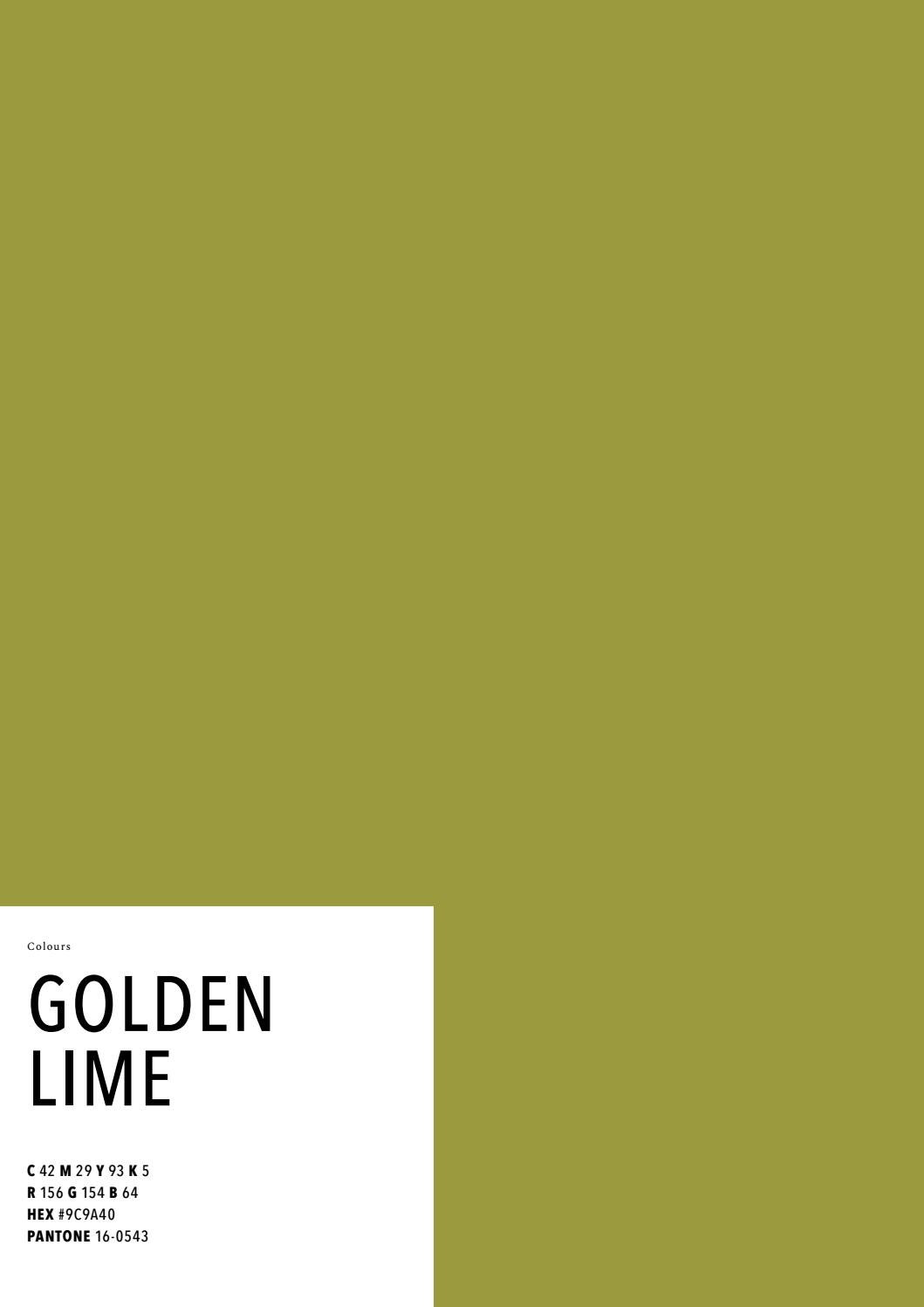 TREND DESIGN BOOK 2018 > Golden Lime by Trend Design Book - Issuu