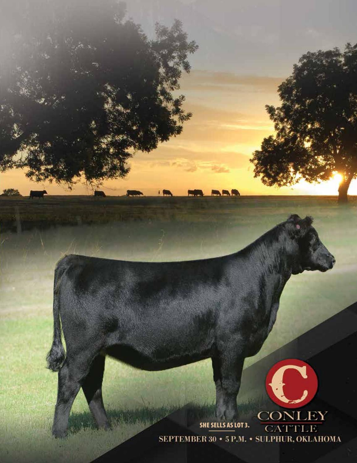 2017 Conley Cattle Production Sale by SCI - Stephanie Cronin, INC - Issuu
