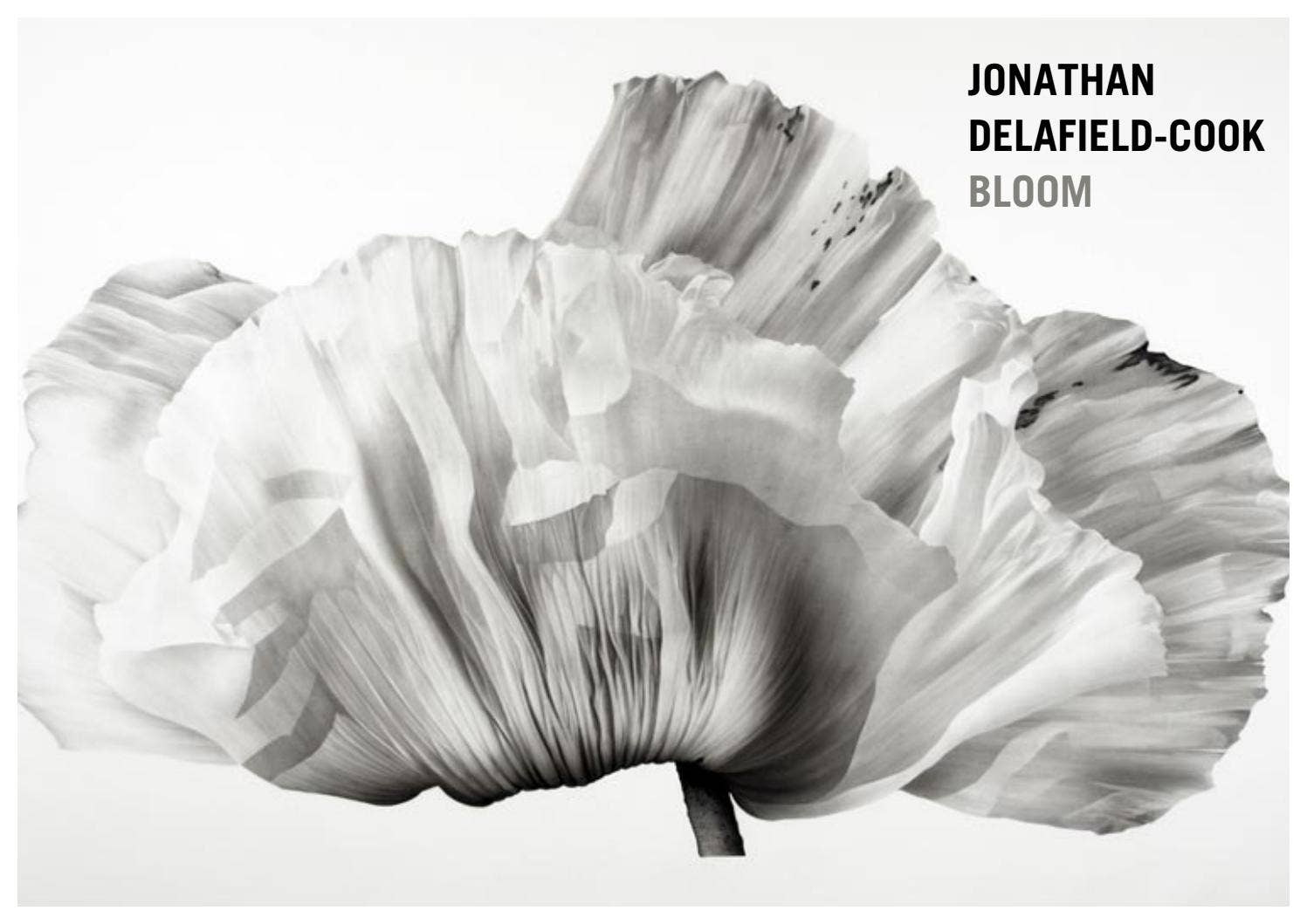 Jonathan Delafield Cook 2017 by OLSEN Gallery - Issuu