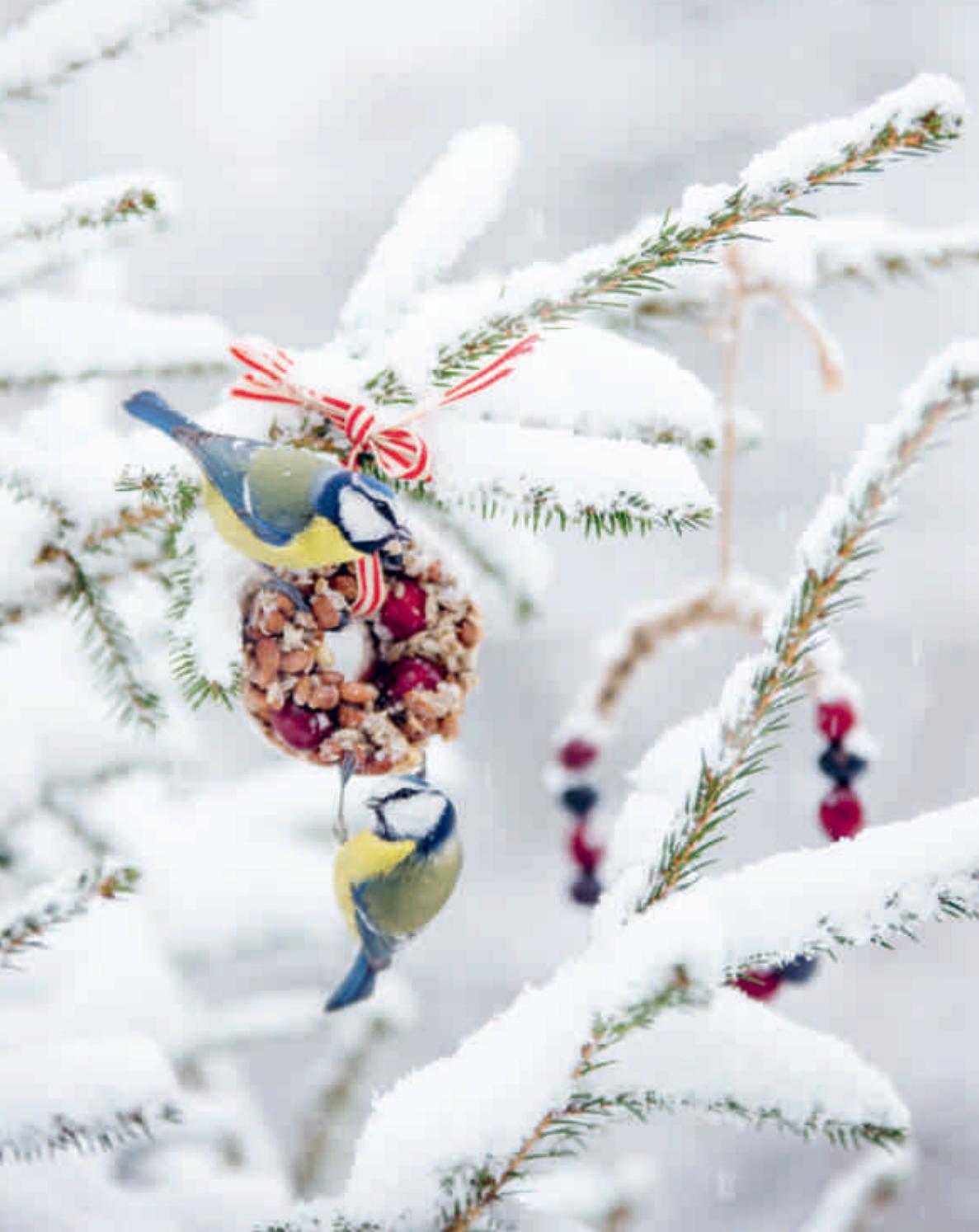 Irene Jacobsen og Kari Nygaard: Kranser og buketter fra Barbeinthagen ...