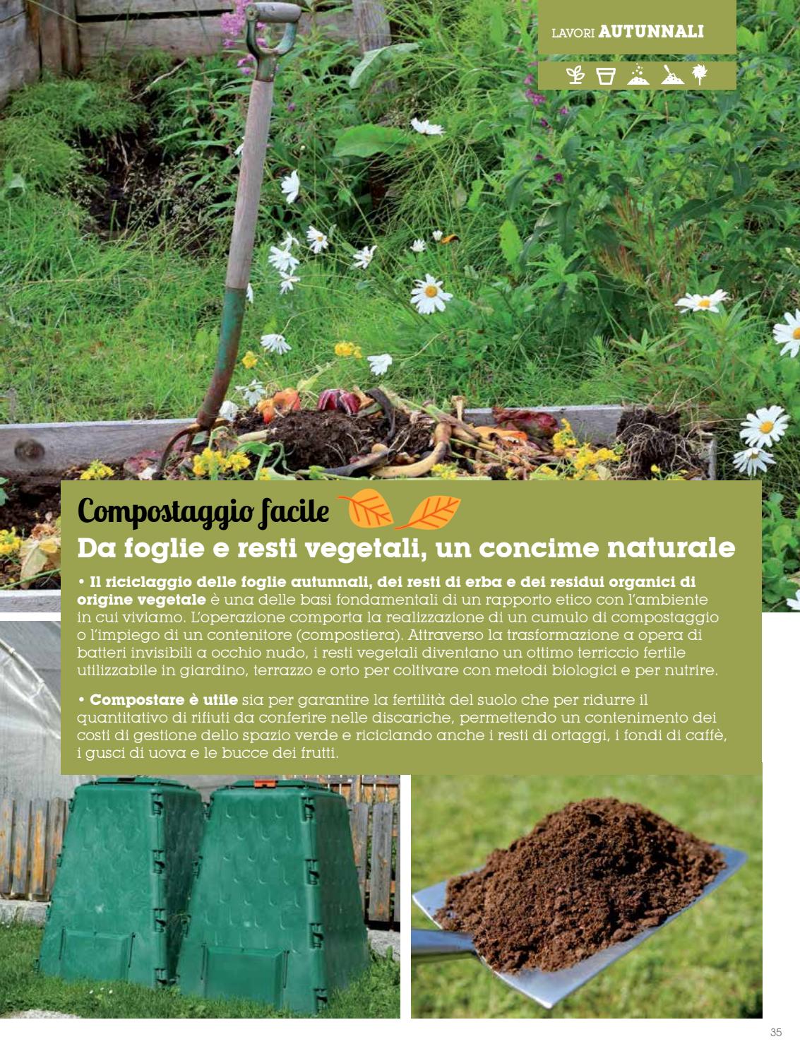 Magazine Florarici Autunno 2017 by paolo arici - Issuu