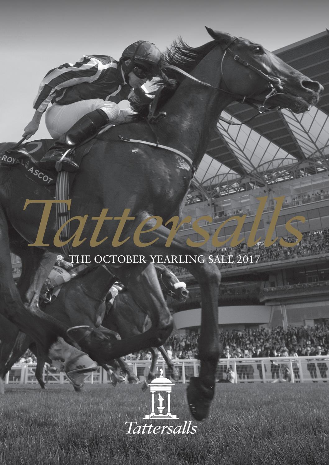 Tattersalls October Yearling Sale Magazine 2017 by Tattersalls - Issuu