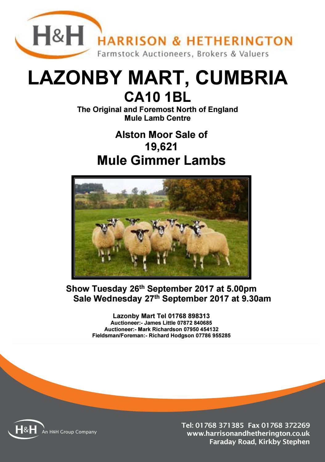 Lazonby Alston Moor gimmer lamb show & sale 270917 by Harrison ...