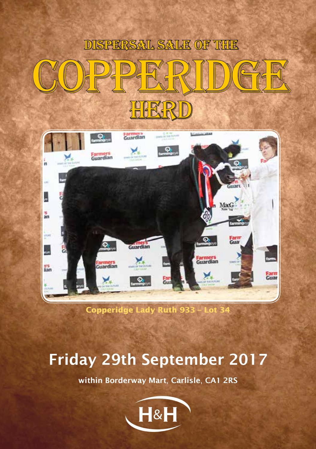 Angus copperidge 290917 by Harrison & Hetherington - Issuu