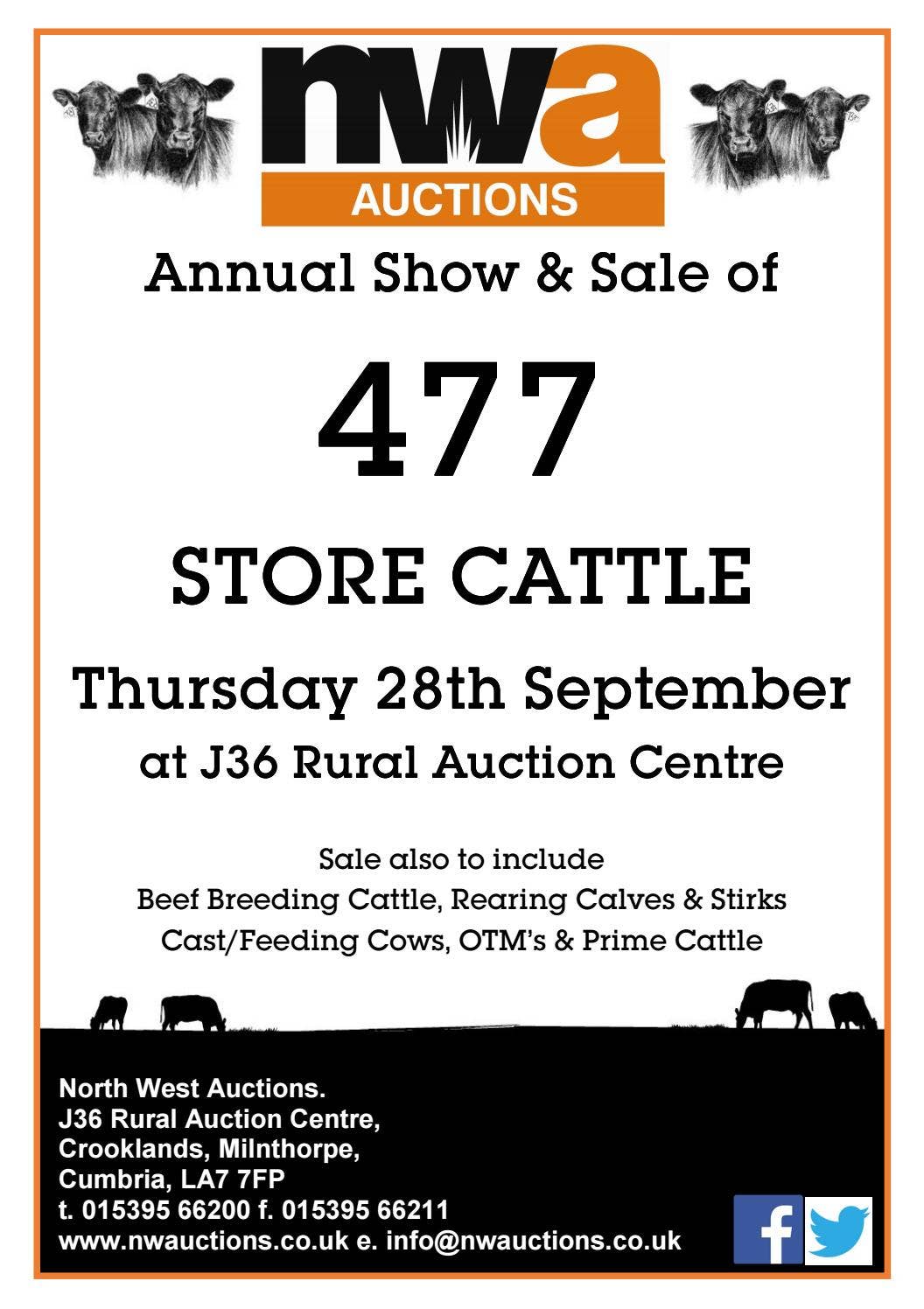J36 Store Cattle by North West Auctions - Issuu