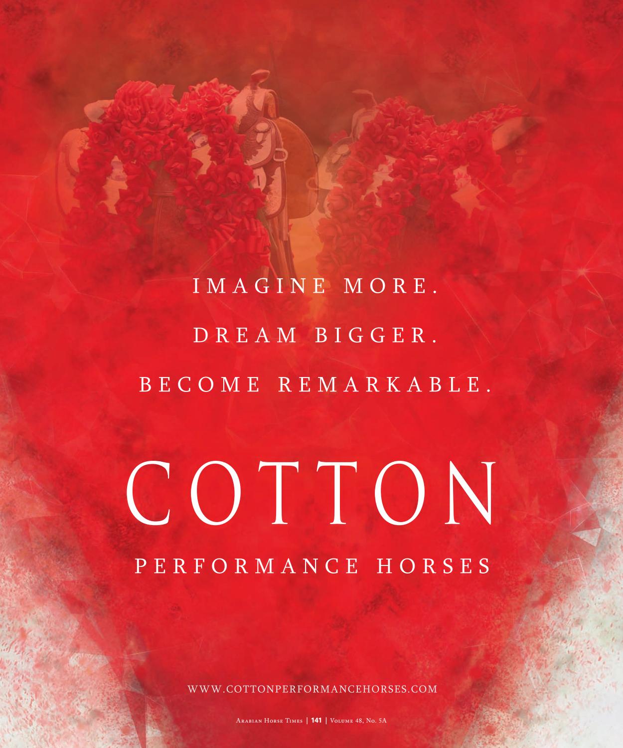 Cotton Performance Horses 2017 by Arabian Horse Times - Issuu