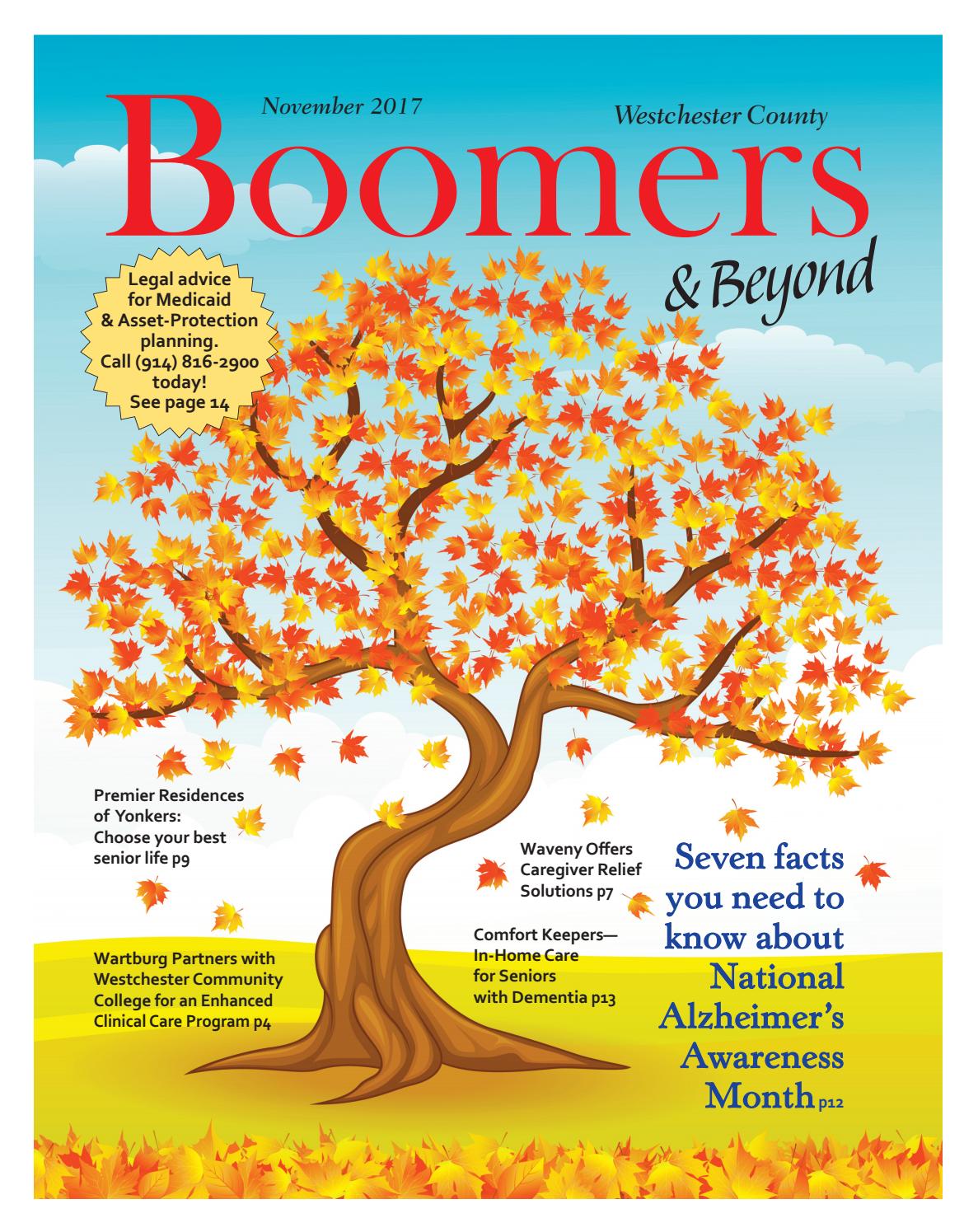 Westchester County Boomers & Beyond November 2017 ebook by Belsito ...