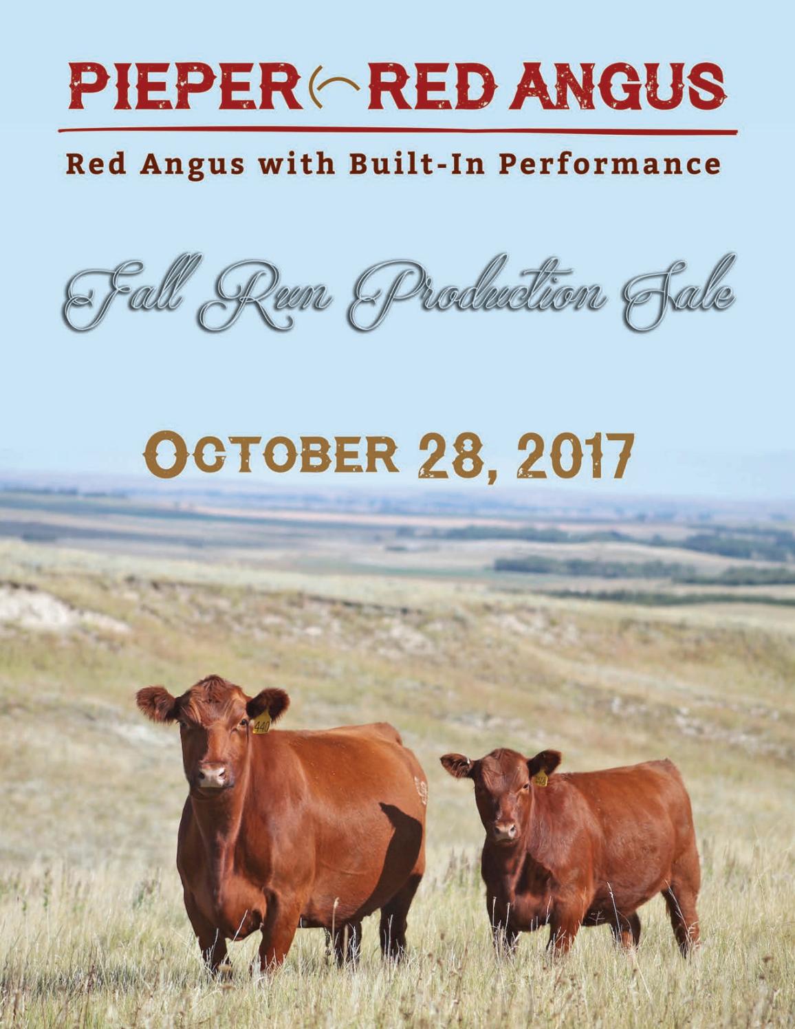 Pieper Red Angus - 2017 Fall Bull Sale Catalog by LivestockDirect - Issuu