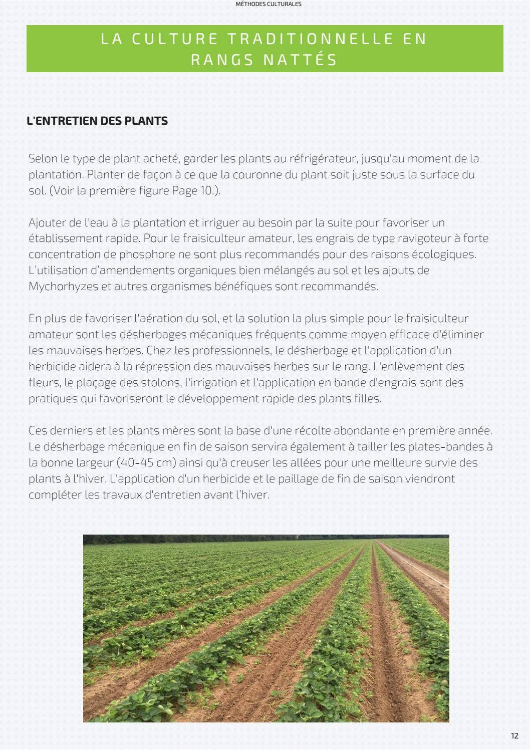 Guide methodes culturales petits fruits by Production Lareault - Issuu