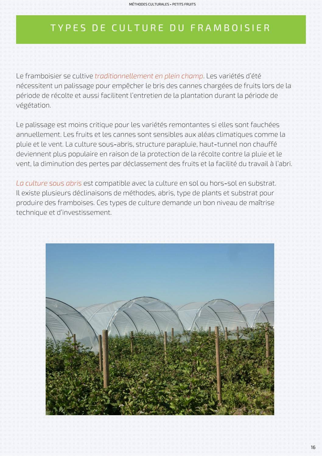 Guide methodes culturales petits fruits by Production Lareault - Issuu