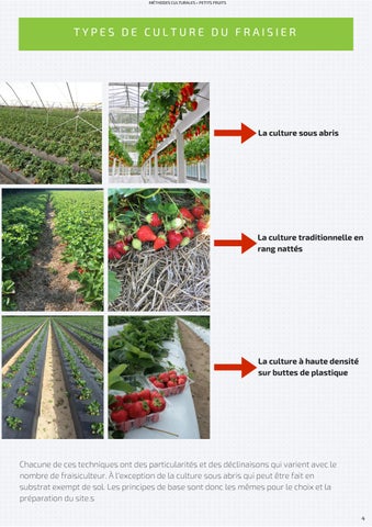 Guide methodes culturales petits fruits by Production Lareault - Issuu