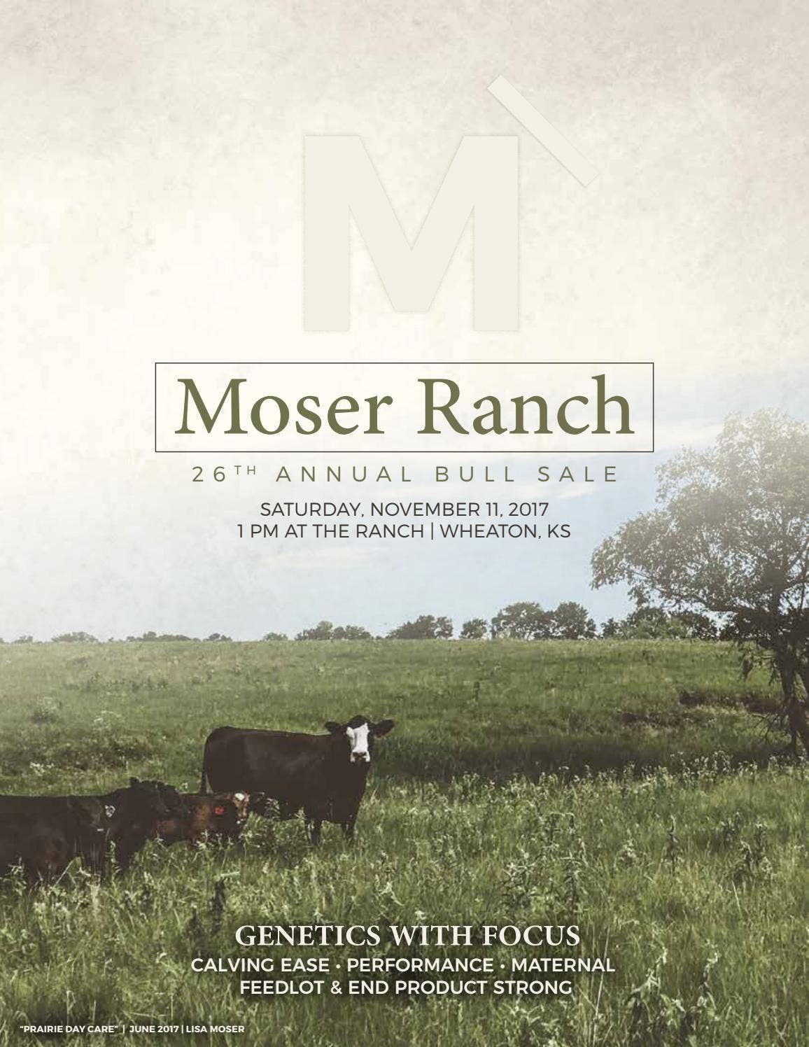 Moser Ranch - 2017 Bull Sale by Generation 6 Marketing - Issuu