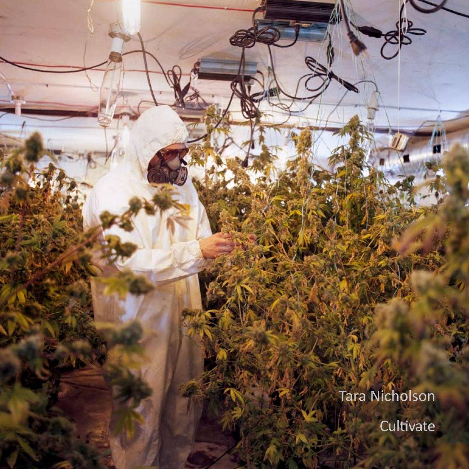 Tara Nicholson: Cultivate by Vernon Public Art Gallery - Issuu