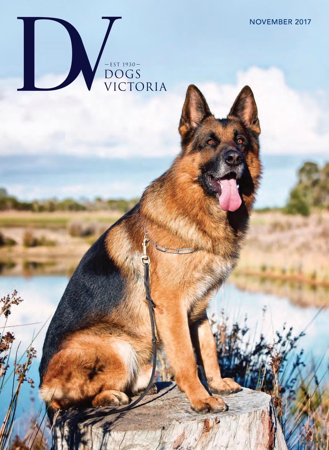 Dogs Victoria Magazine November 2017 by Dogs Victoria - Issuu