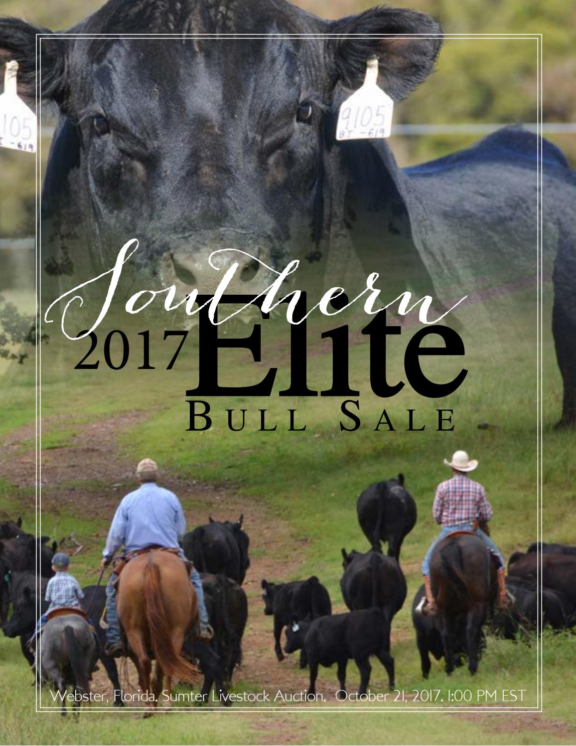 Griswold | 2017 Florida Bull catalog by SCI - Stephanie Cronin, INC - Issuu