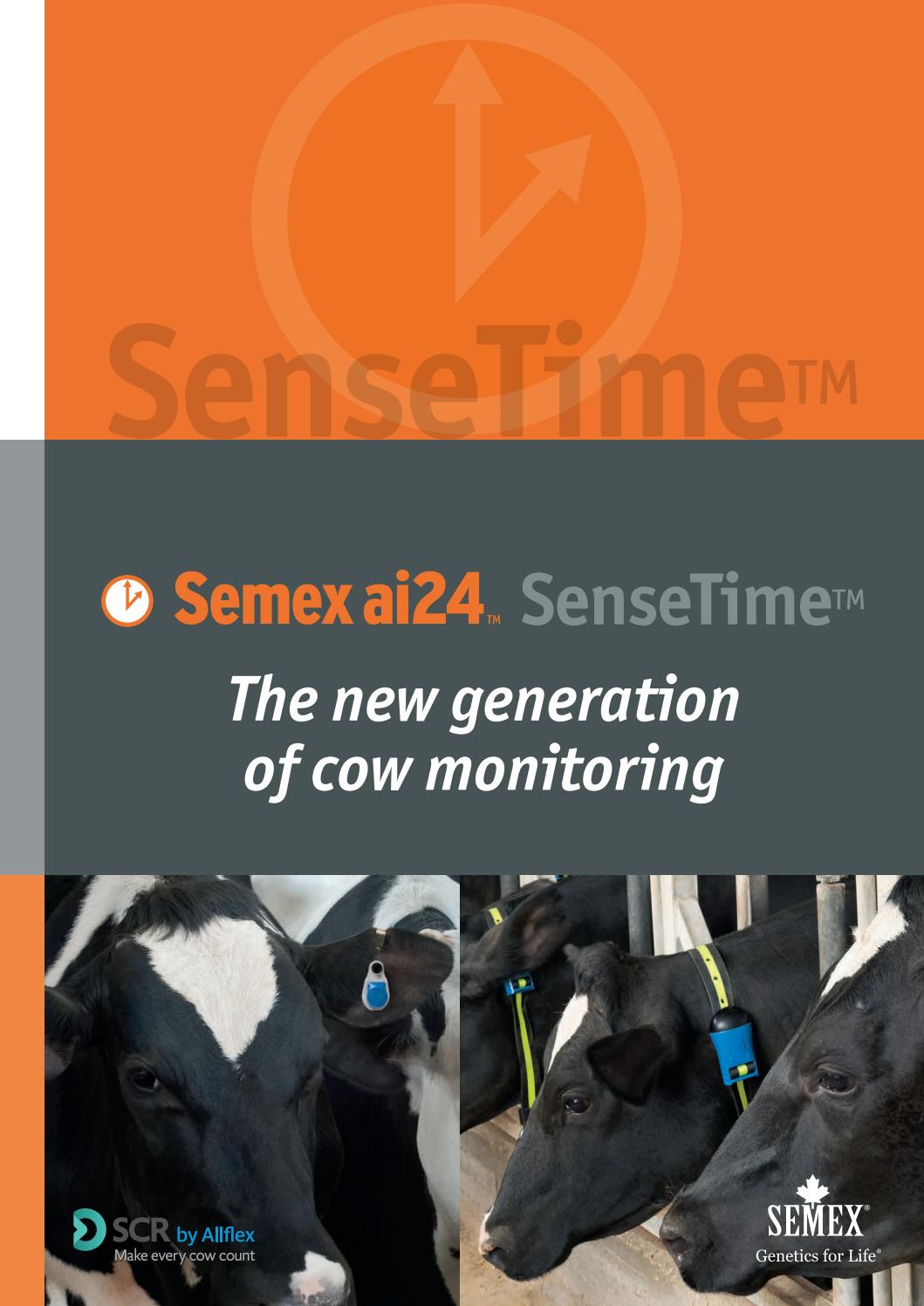 Semex UK - Semex ai24/SenseTime by Semex - Issuu