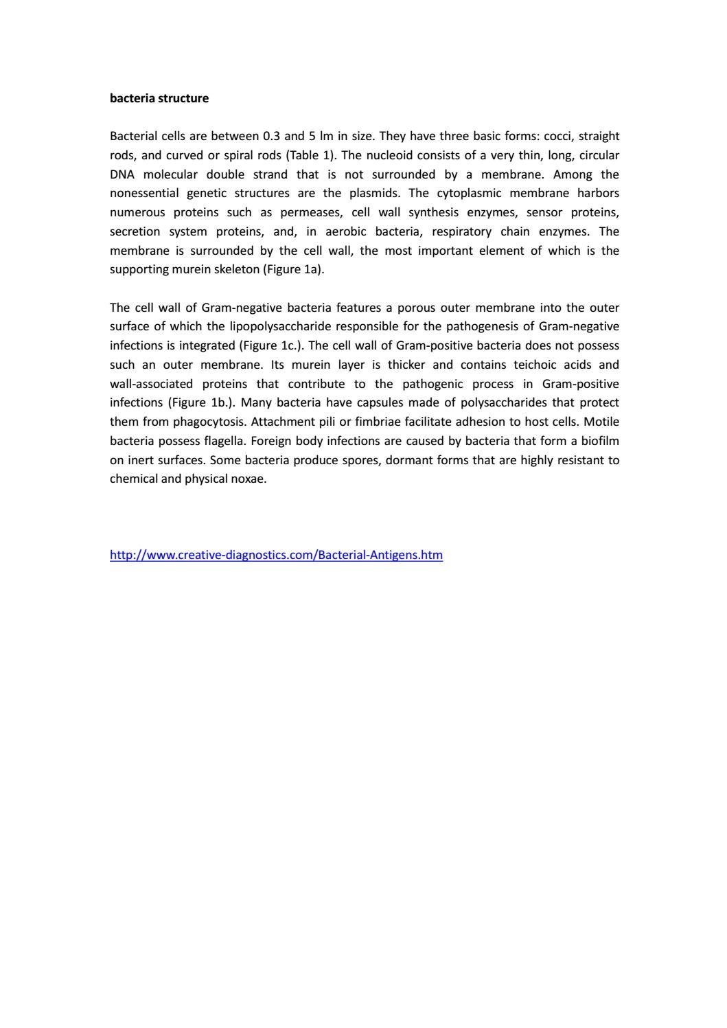 Bacteria structure by Creative Diagnostics - Issuu