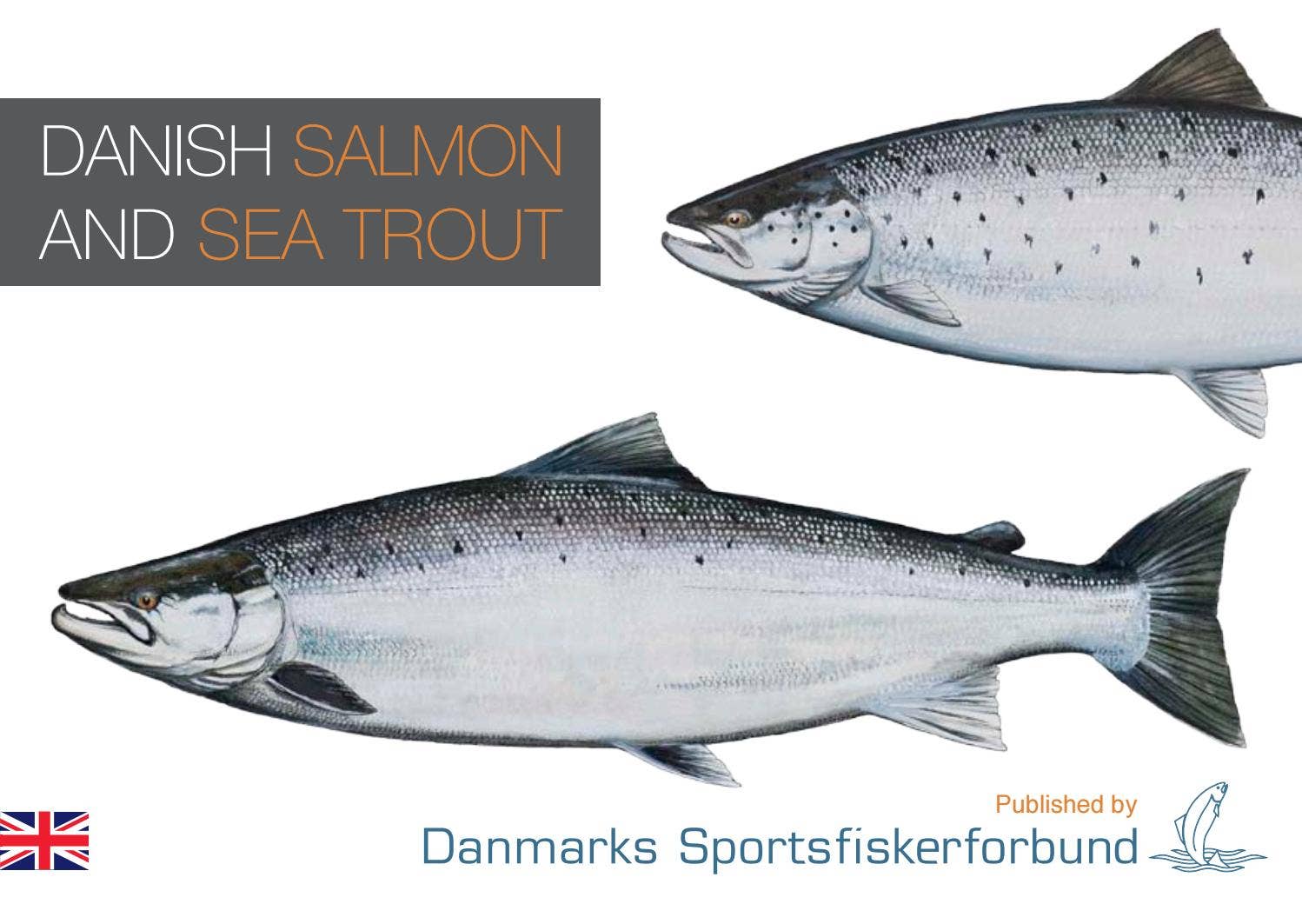 Danish salmon and sea trout by Danmarks Sportsfiskerforbund - Issuu
