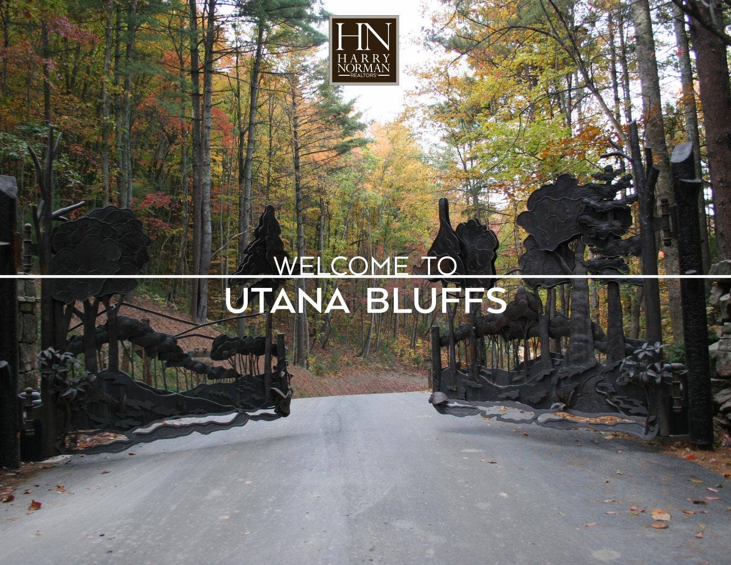 Welcome to Utana Bluffs by The Buckhead Office - Issuu