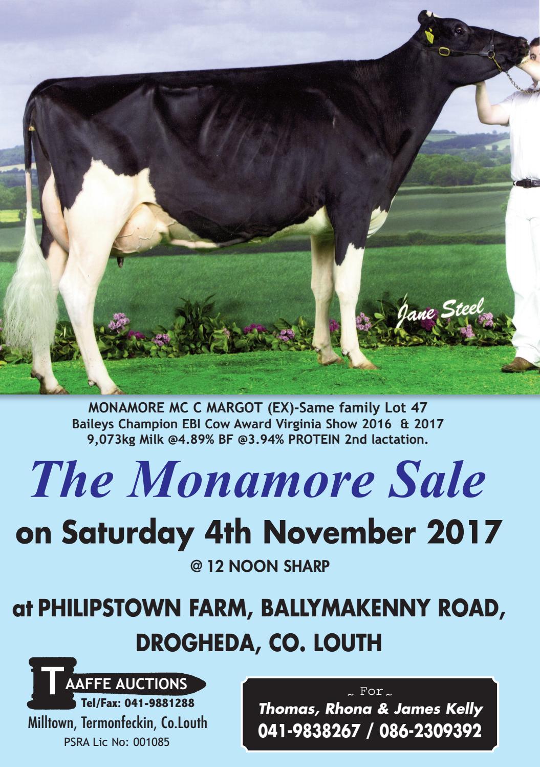 THE MONAMORE SALE by TAAFFE AUCTIONS LTD - Issuu