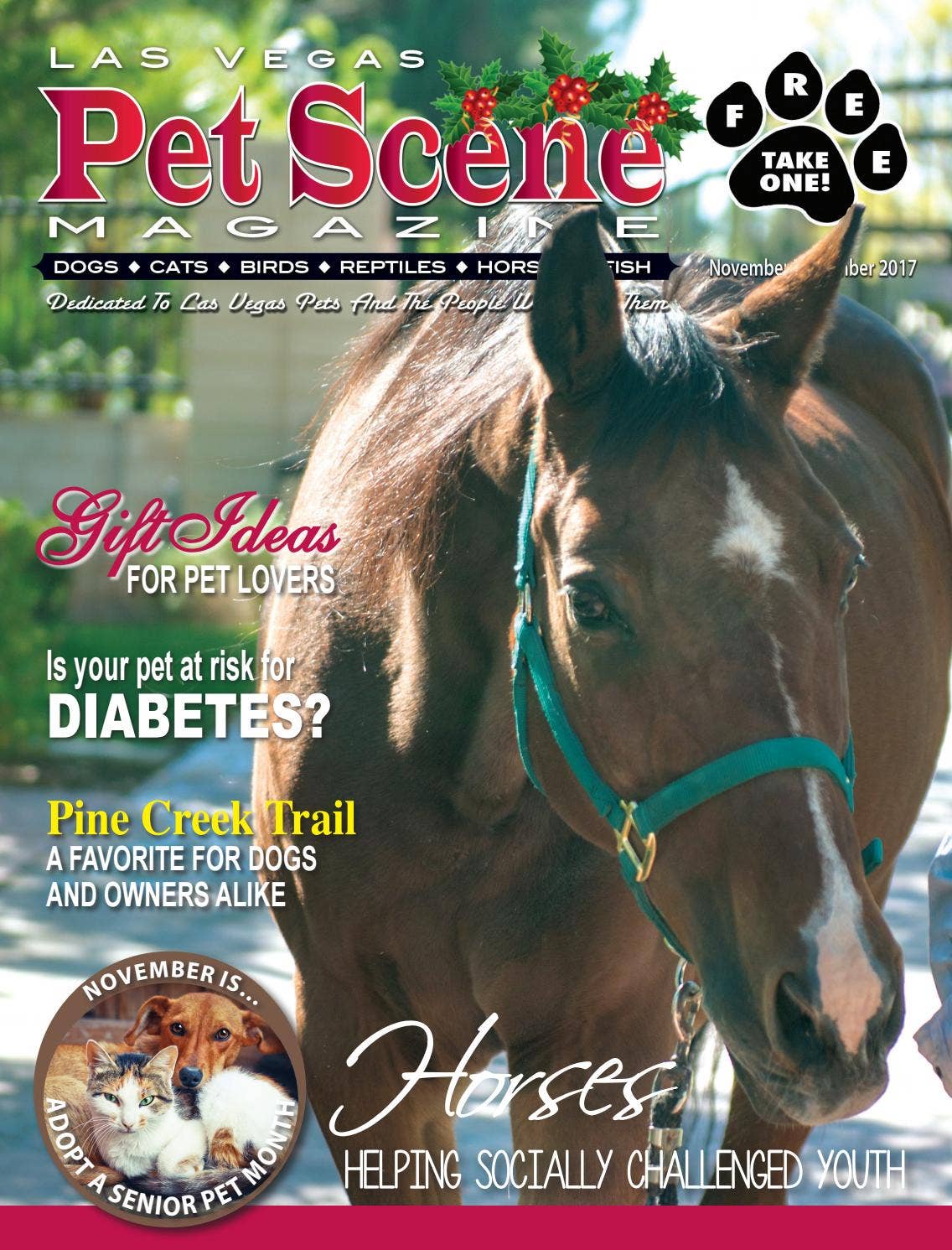 Las Vegas Pet Scene Magazine – November/December 2017 by Homes ...