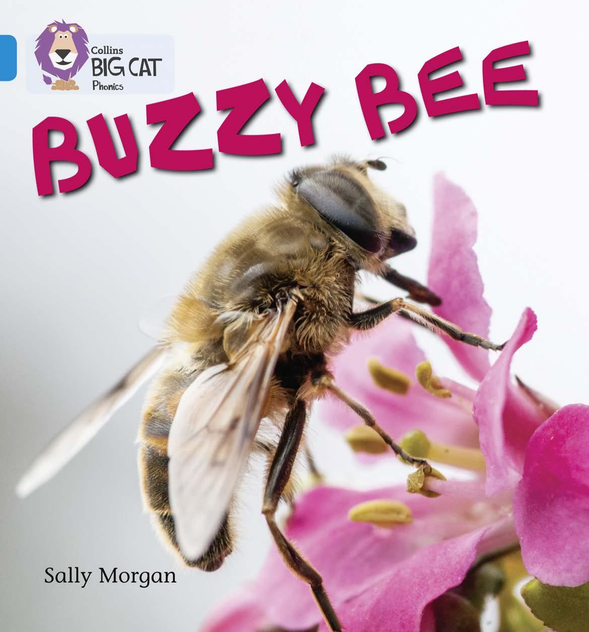 Buzzy Bee by Collins - Issuu