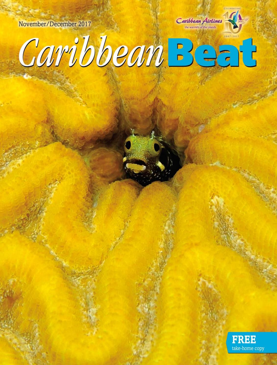 Caribbean Beat — November/December 2017 (#148) by MEP Caribbean ...