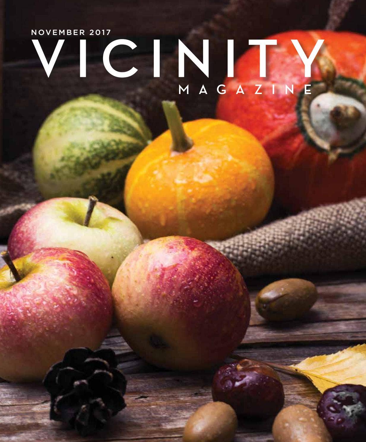 Vicinity Magazine by Vicinity Media Group - Issuu