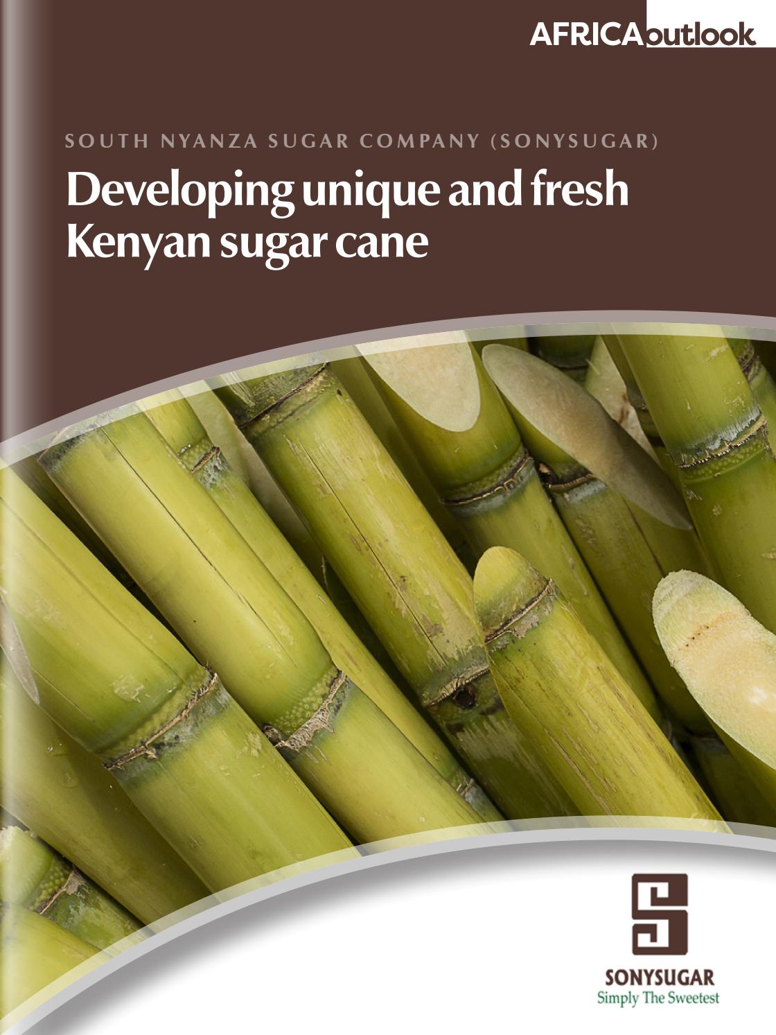 SOUTH NYANZA SUGAR COMPANY (SONYSUGAR) by Outlook Publishing - Issuu