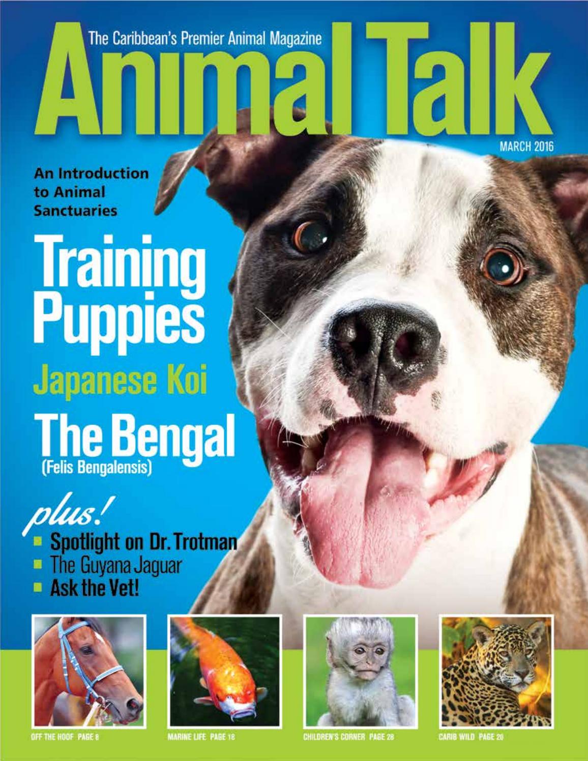 Animal Talk Magazine Barbados Issue 1 by Animal Talk Magazine Barbados ...