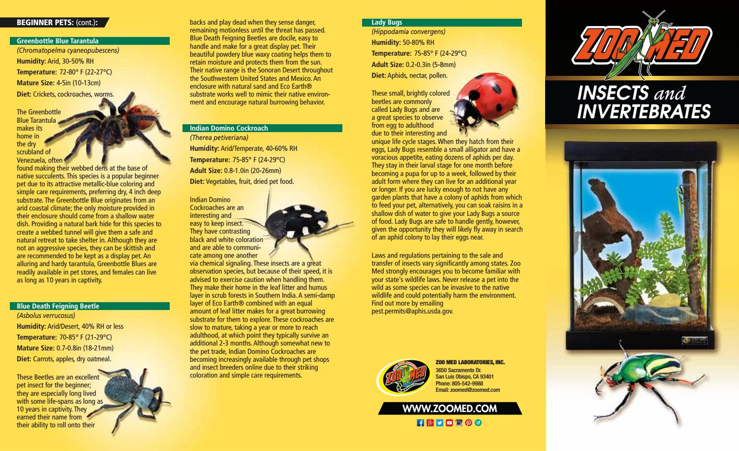 Zoo Med Insect Brochure by Zoo Med Labs - Issuu