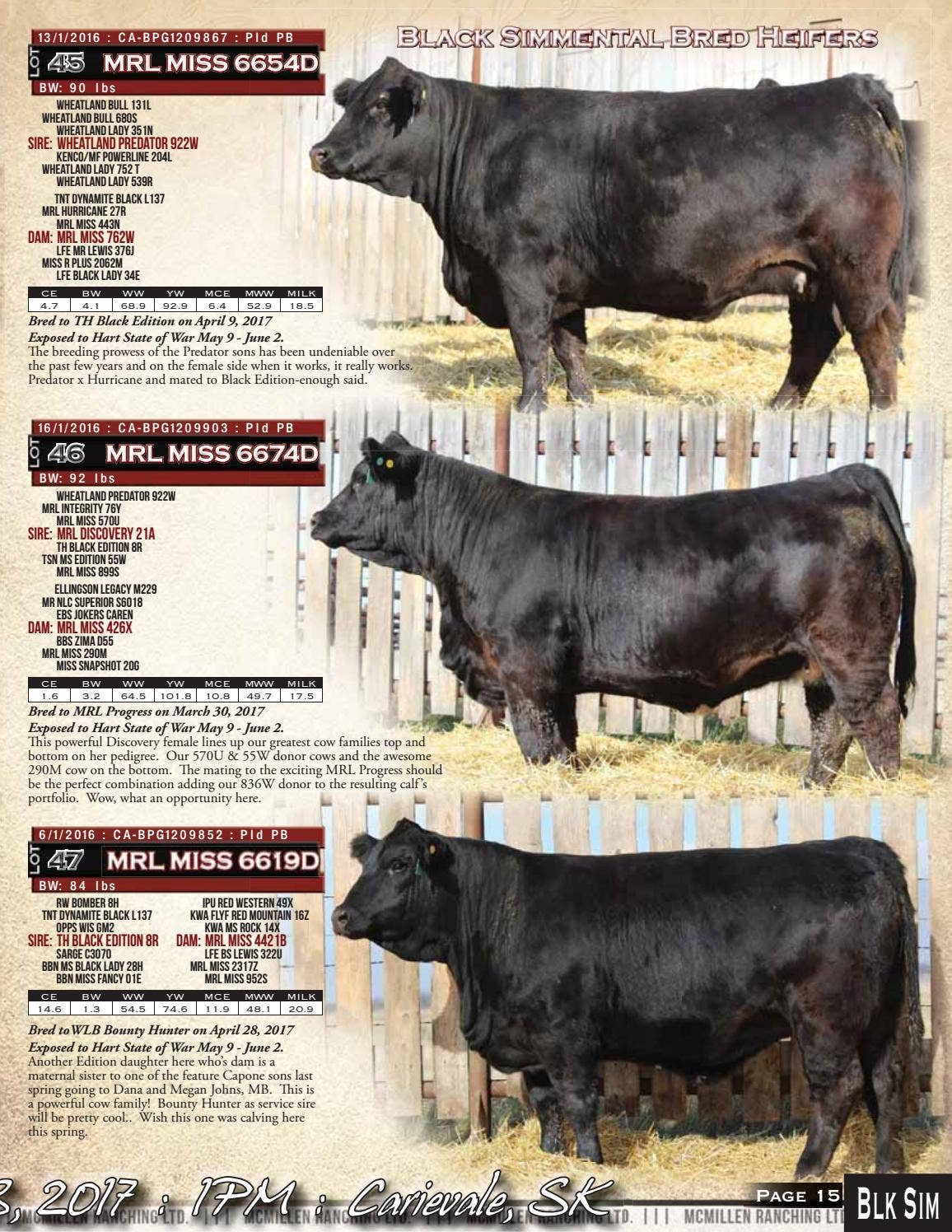 McMillen Ranching Ltd Herdbuilder Sale 2017 by Bohrson Marketing ...