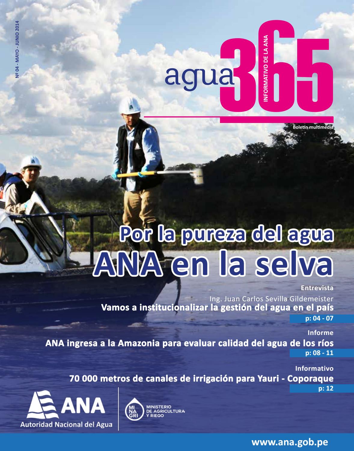 Bolet%c3%adn%20institucional%20ana%20n%e2%80%a204 by patacalata - Issuu