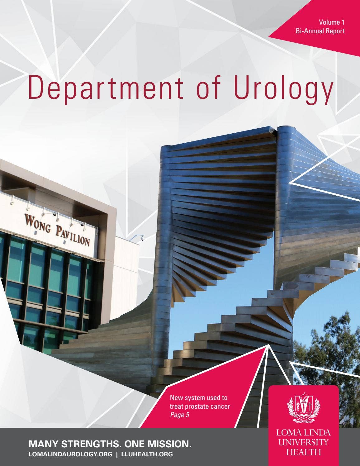 Urology Newsletter Vol 1 2017 by Loma Linda University Health - Issuu