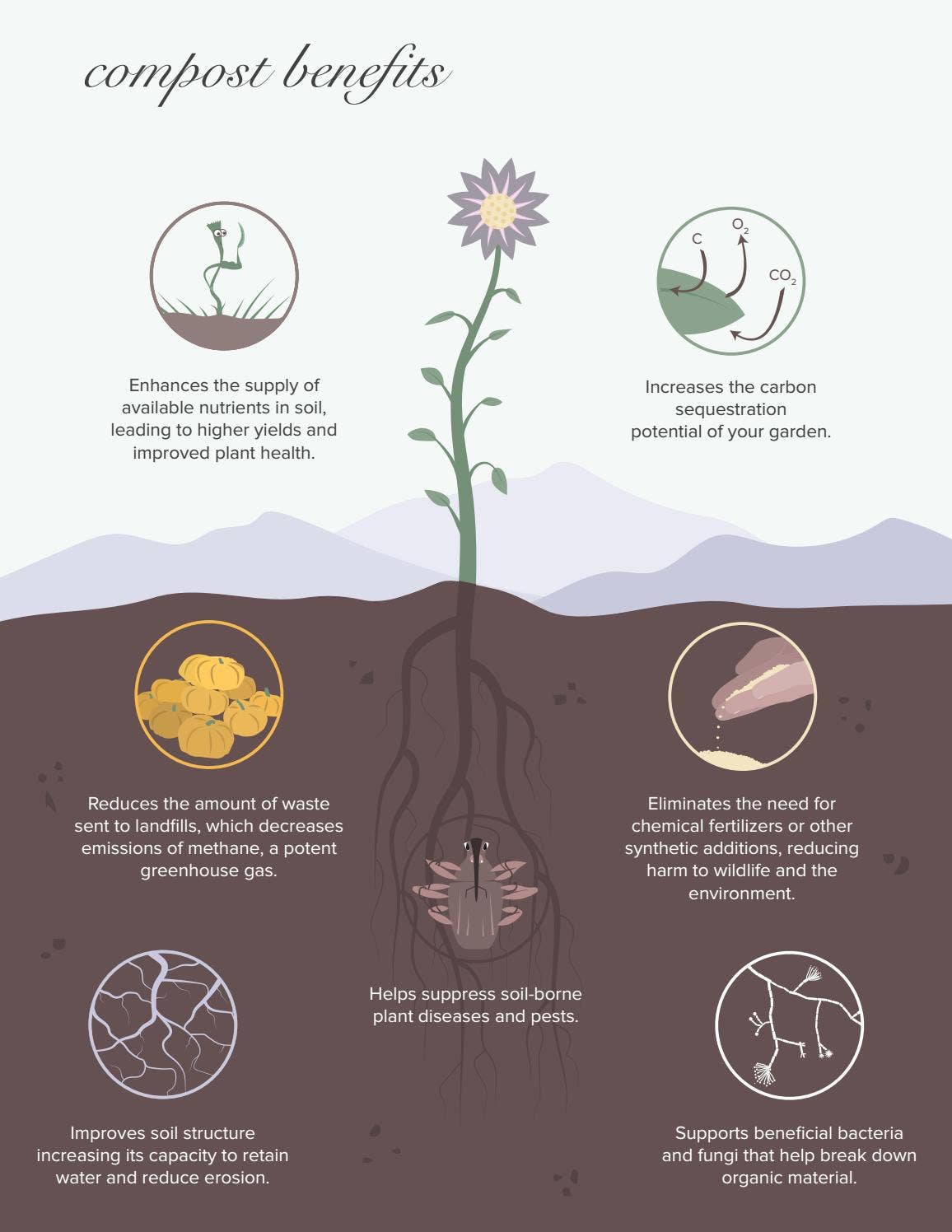 Composting in a Nutshell by Center for Food Safety - Issuu