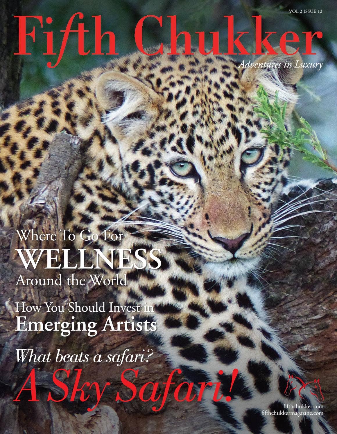 Fifth Chukker Vol 2 Issue 12 by The Magazine Production Company - Issuu