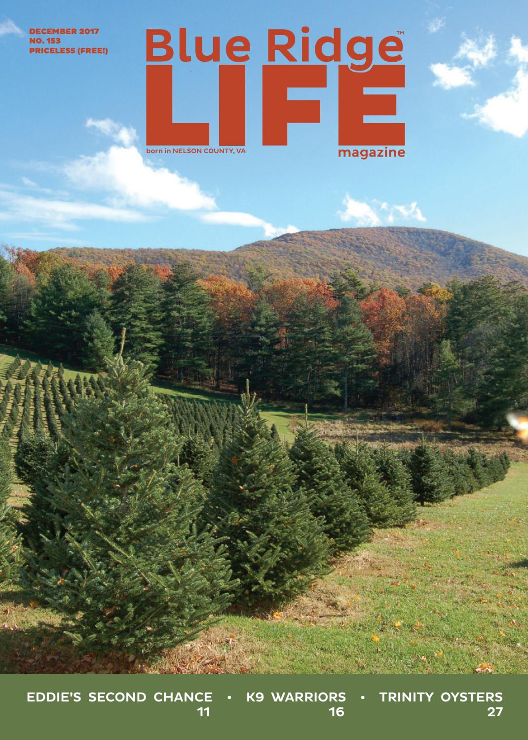 Blue Ridge Life, Issue #153 by Blue Ridge Life Magazine - Issuu