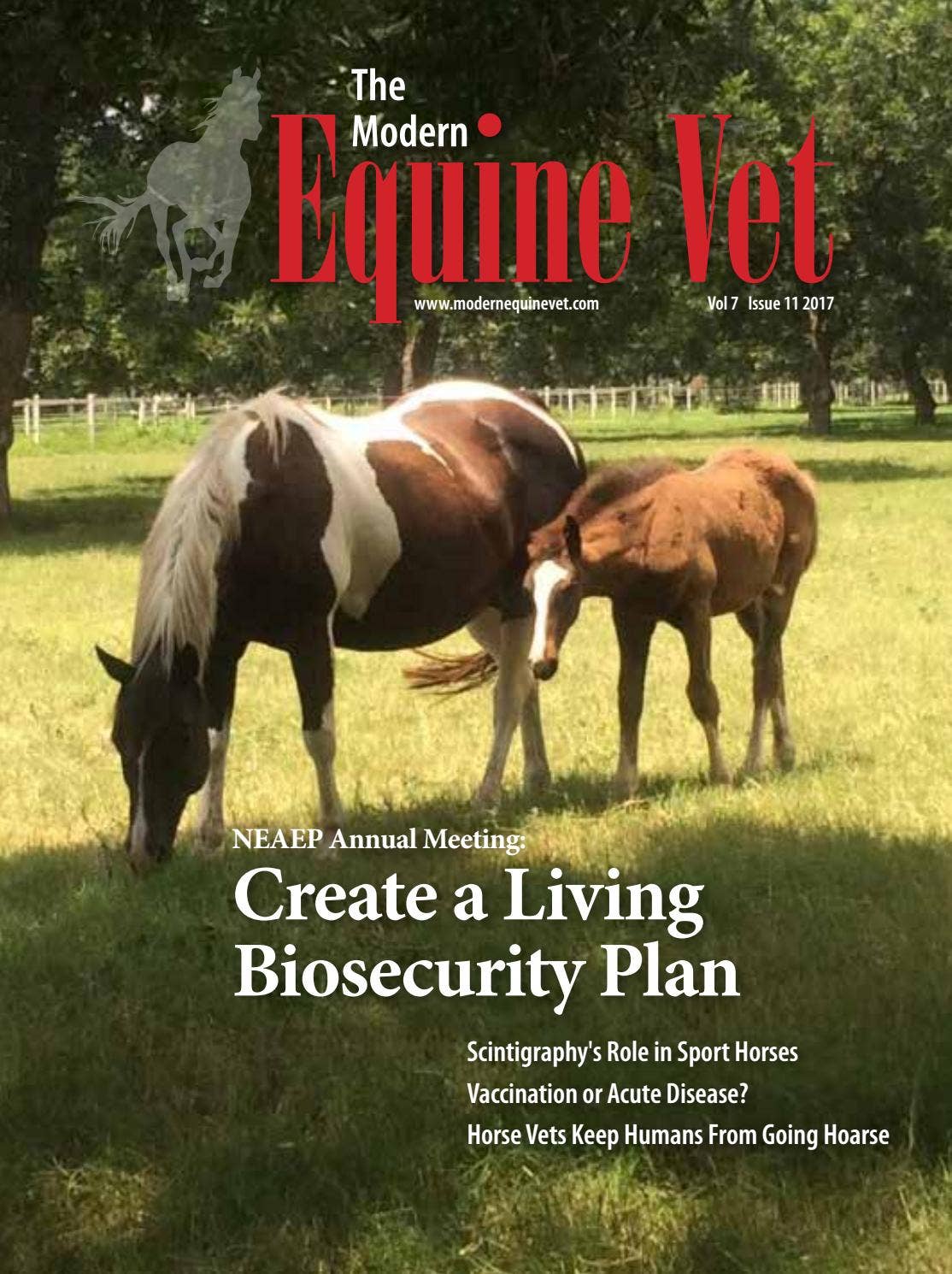 The Modern Equine Vet November 2017 by The Modern Equine Vet - Issuu