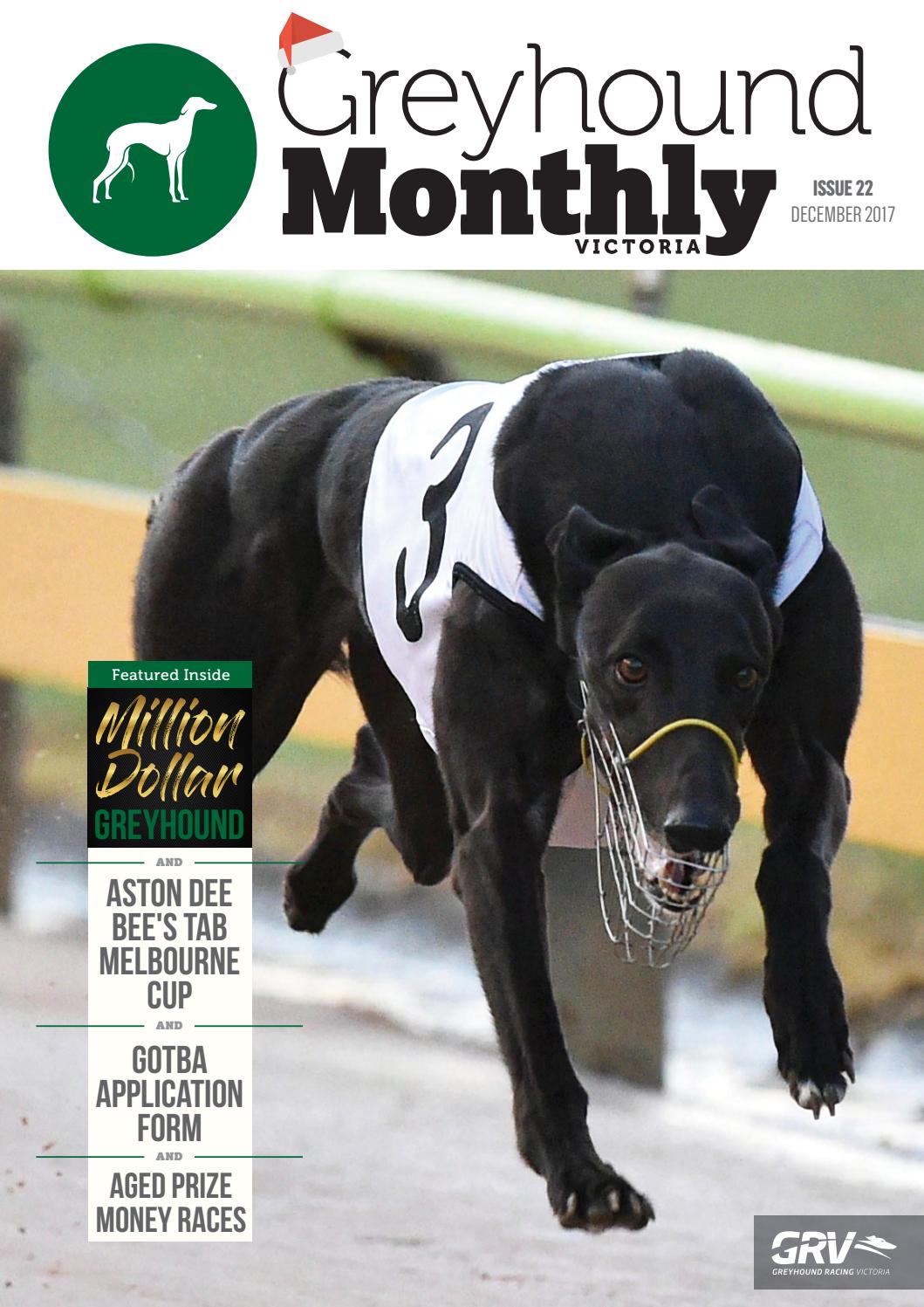 Greyhound Monthly Victoria - Issue 22 by Greyhound Racing Victoria - Issuu