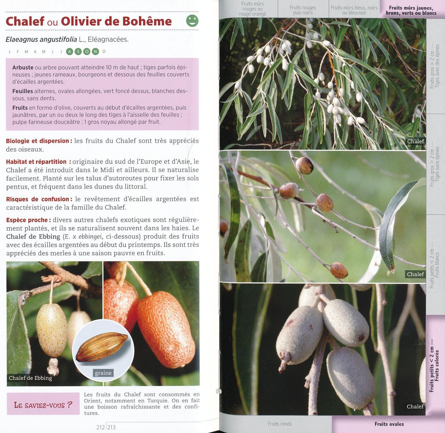 Guide des fruits sauvages fruits charnus gã©rard guillot by agrihorti ...