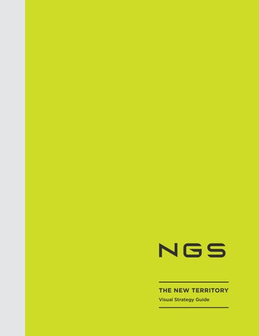 Visual standards guide by ZILIMA - Issuu