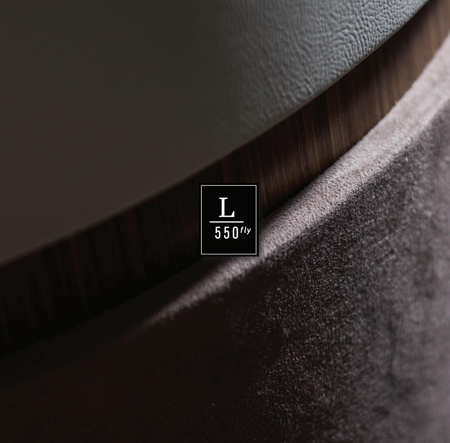 L550 Fly Catalog by Dino Marketing Group - Issuu