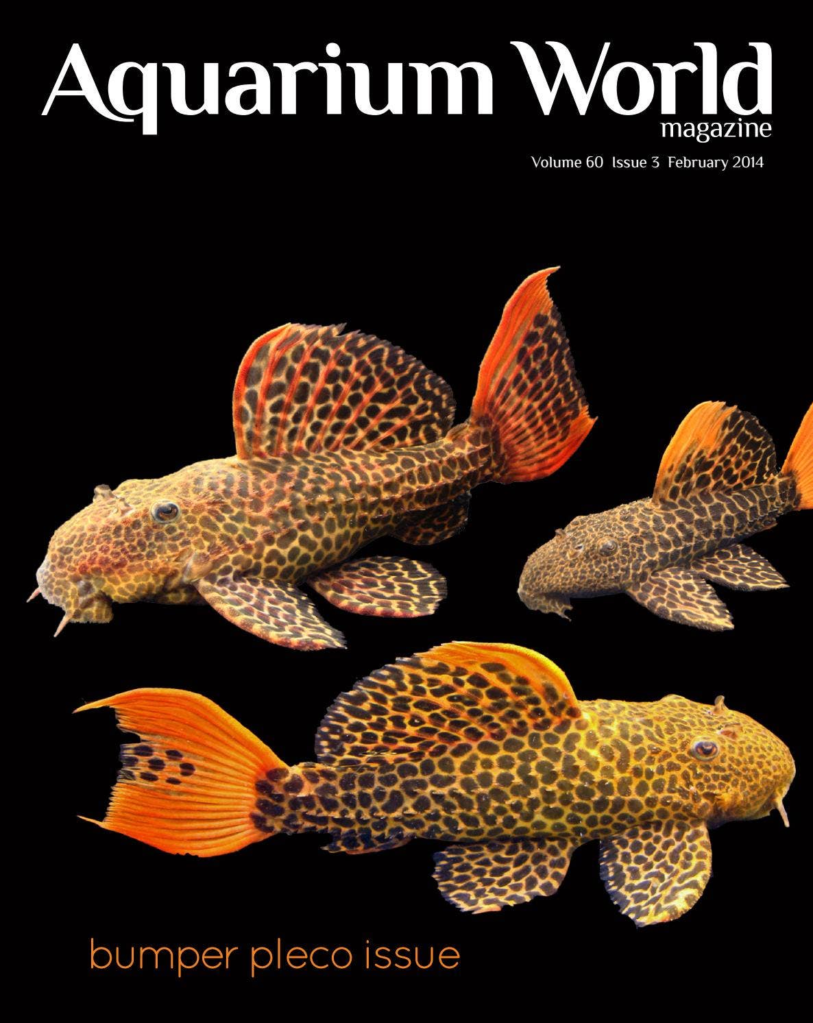 Aquarium World Magazine March 2014 by FNZAS - Issuu