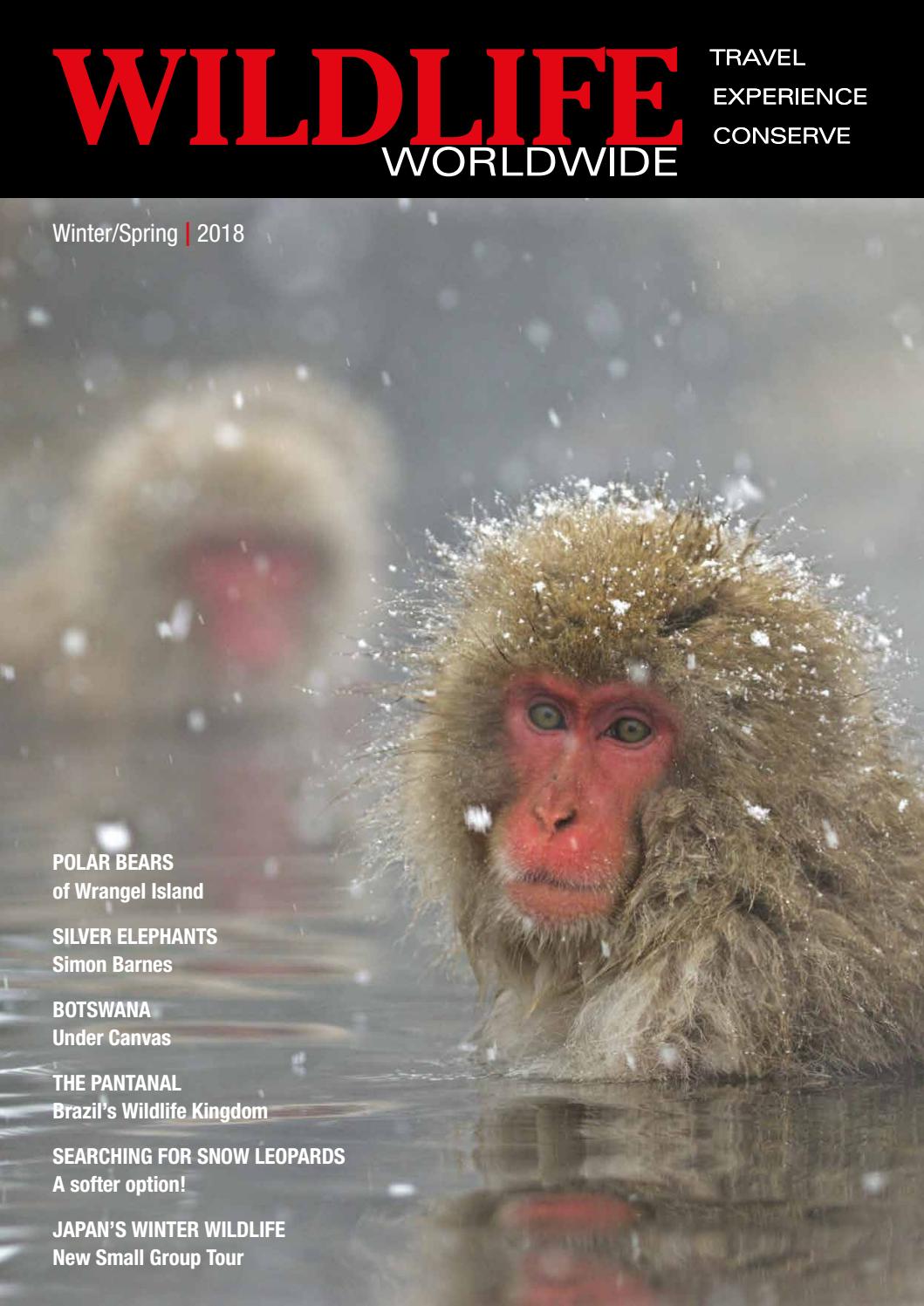 Wildlife Worldwide Brochure Winter /Spring 2018 by The Natural Travel ...