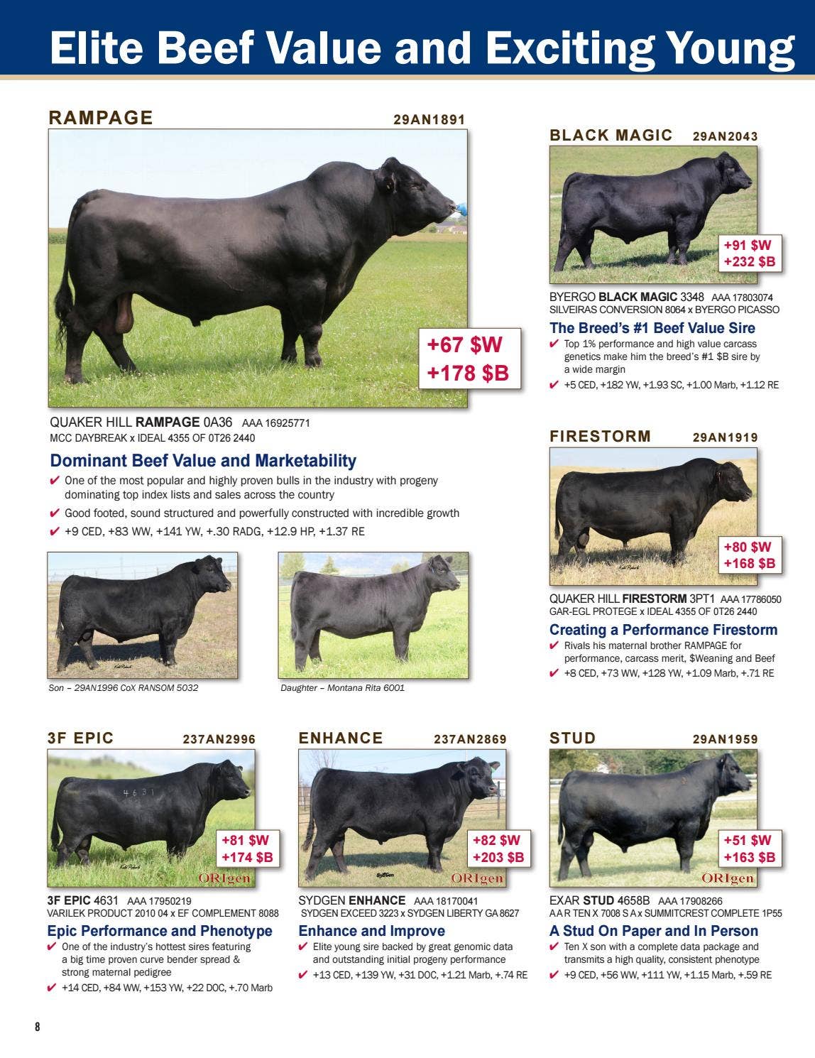 ABS Beef Breeder's Journal - A new year in genetics. by ABS Global, Inc ...