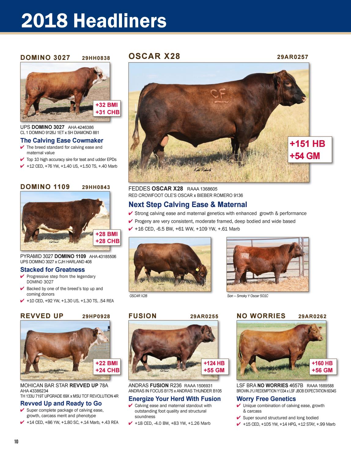 ABS Beef Breeder's Journal - A new year in genetics. by ABS Global, Inc ...