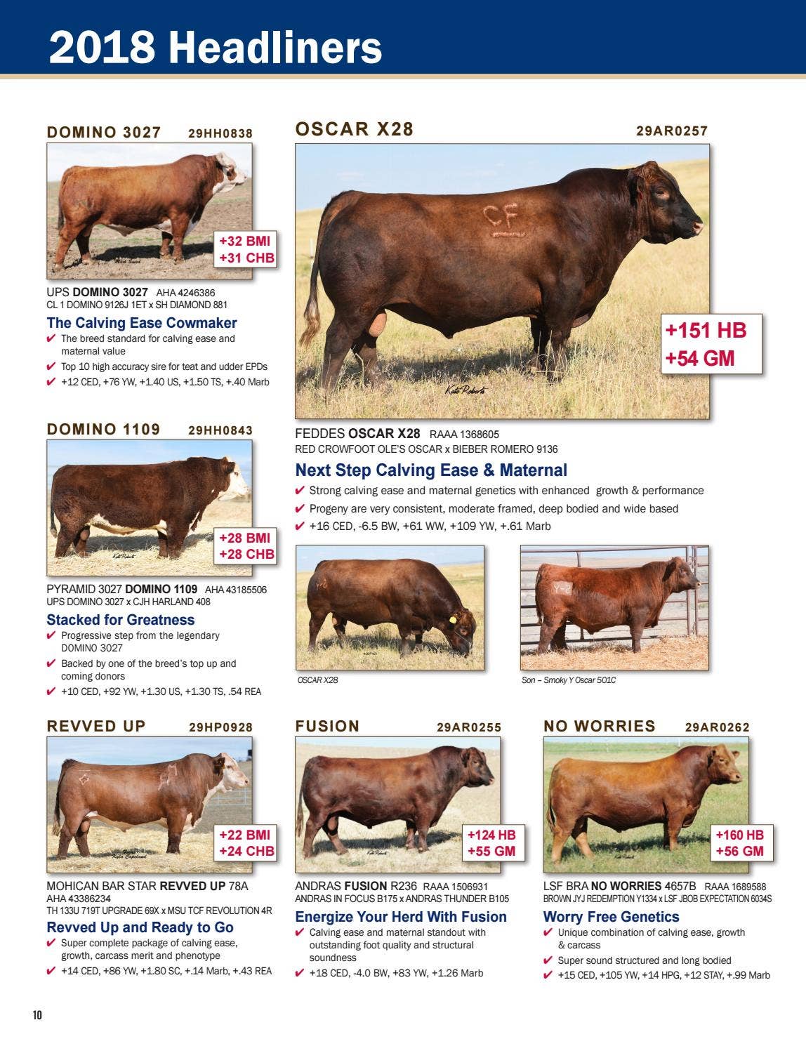 ABS Beef Breeder's Journal - A new year in genetics. by ABS Global, Inc ...